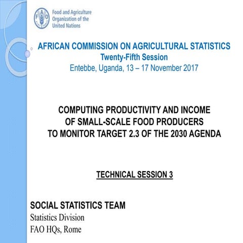 Computing productivity and income of small-scale food producers to ...