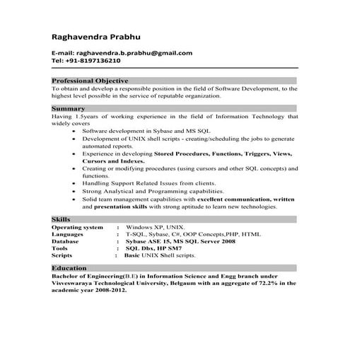 Raghu resume[1] | DOC