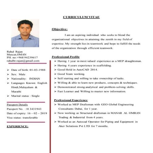 Rahul cv 123 | PDF