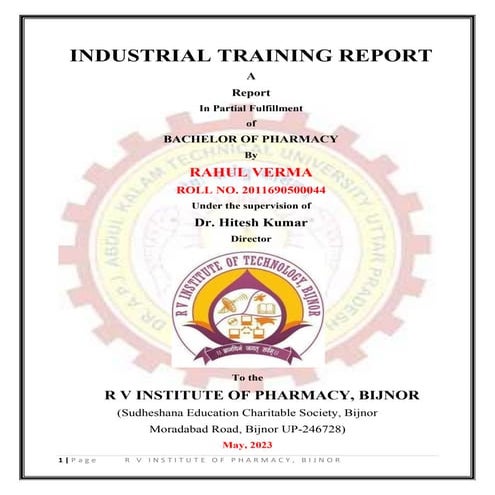 Rahul Chaudhary Industrial Training Reportdocx 