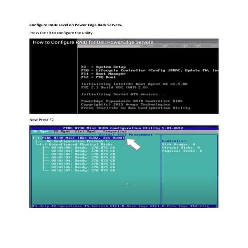 RAID-Level Configuration on BIOS of DELL Server.pdf