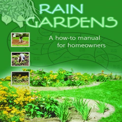 Wisconsin Rain Gardens: A How to Manual for Homeowners | PDF