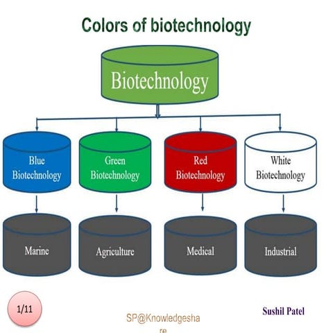 Rainbow code of biotechnology | PPTX