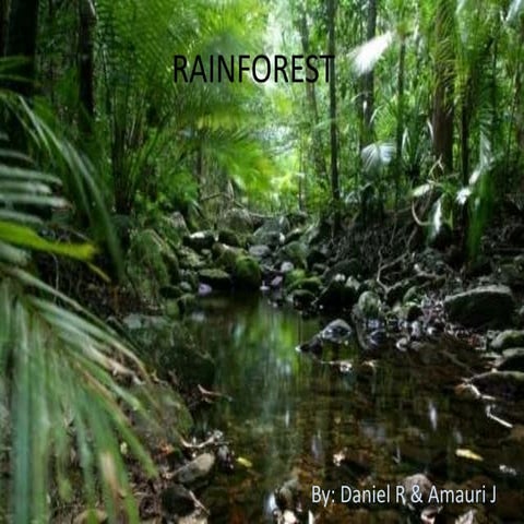 Rainforest | PPT