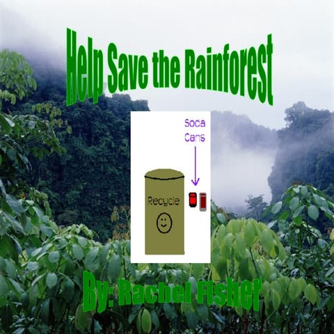 Help Save The Rainforest! | PPT