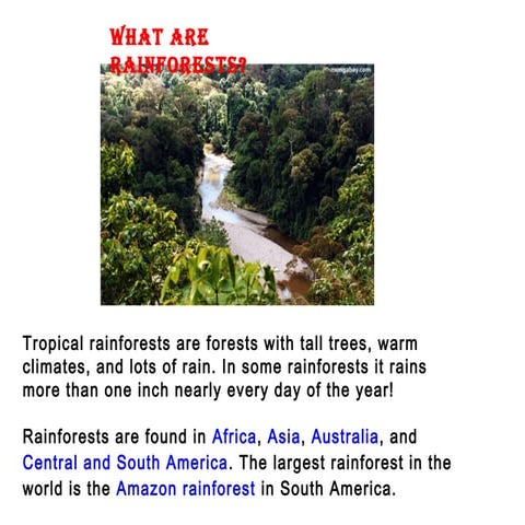 Rain forest | PPT
