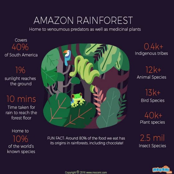 Amazon Rainforest Facts – Mocomi Kids | PDF