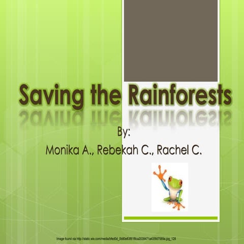 Saving the Rainforest | PPTX