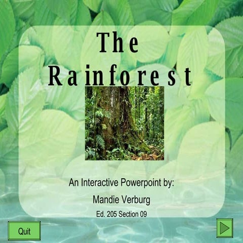 Rainforest Interactive Powerpoint | PPT