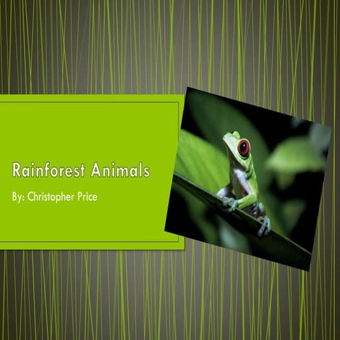 Rainforest animals | PPT