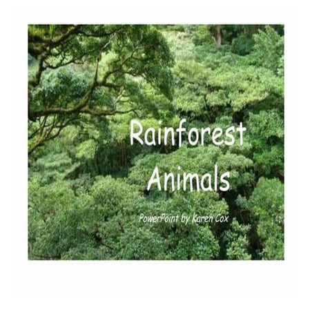 Rainforest Animals | PDF