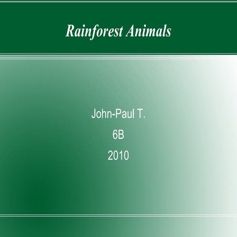 Biodiversity in the rainforest | PPTX