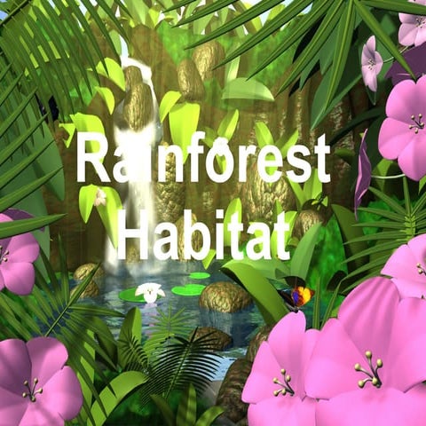 Rainforest habitat | PPT