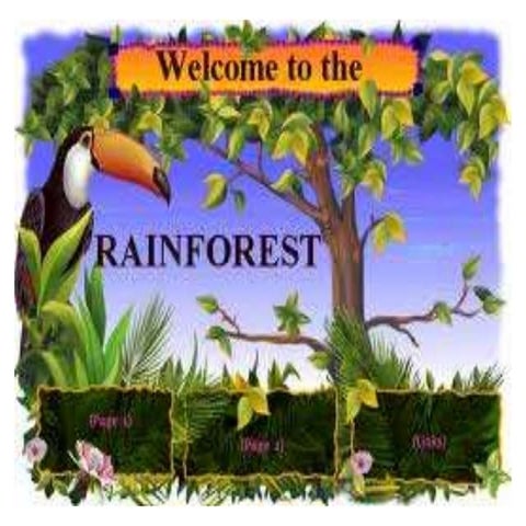 Rainforest powerpoint | PPT | Reptiles | Pets