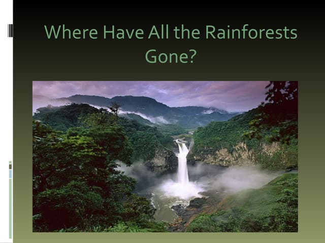 TEMPERATE FORESTS | PPTX