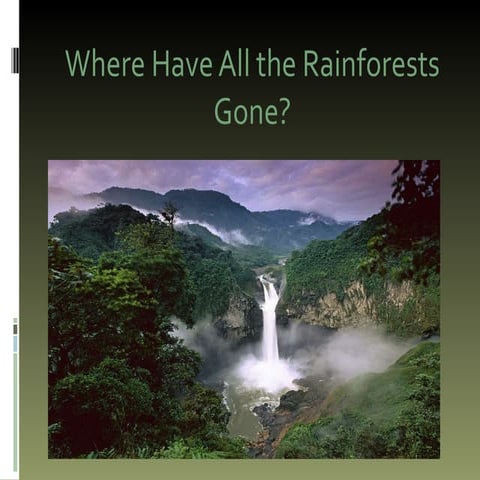 Rainforest powerpoint[1] | PPT