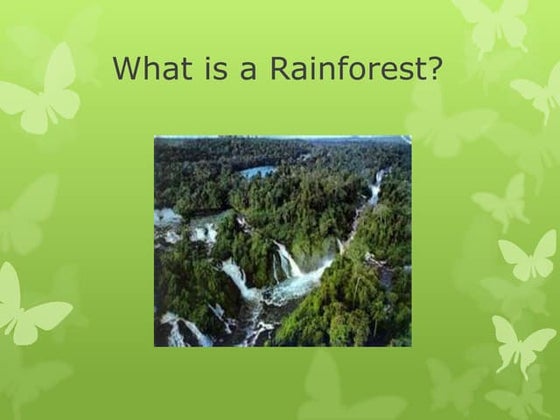 Rainforest Presentation | PPTX