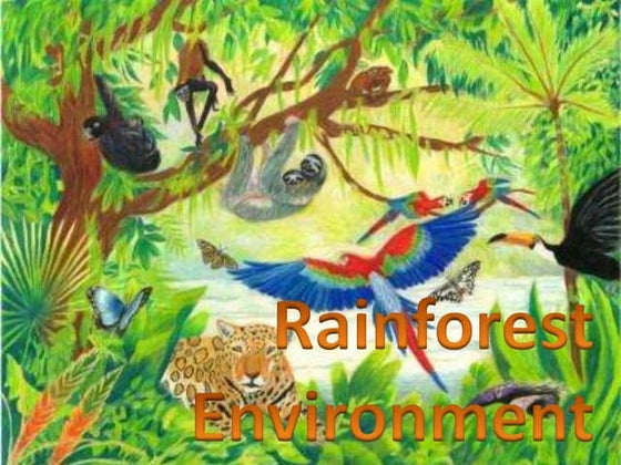 Rainforest Presentation | PPTX