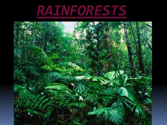 Rainforest Presentation | PPTX