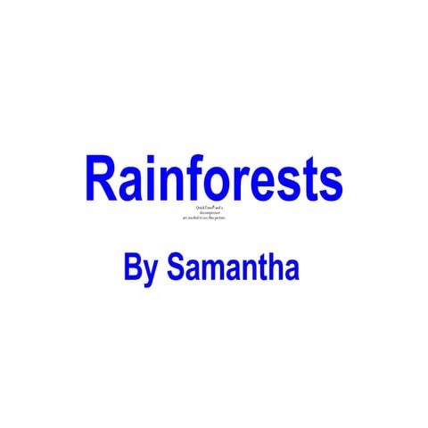 The Rainforest | PPT | Geography | Science