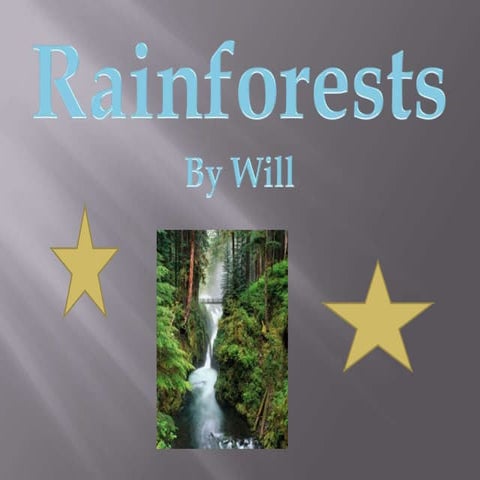 Rainforests | PPTX