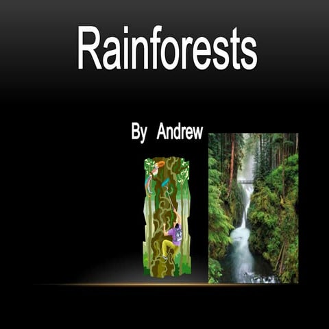 Rainforests | PPTX