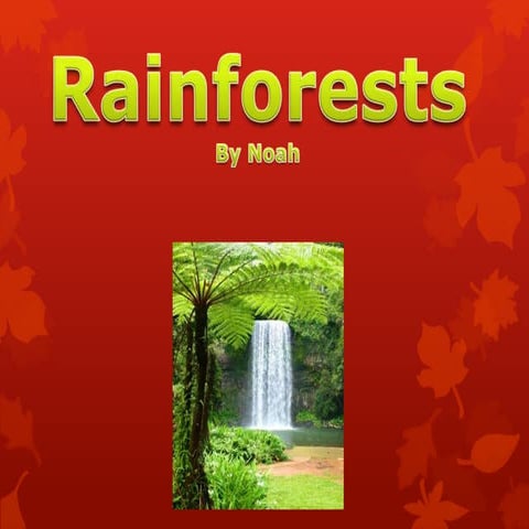 Rainforests | PPTX