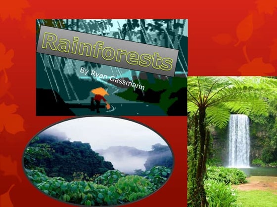 Rainforest 2 | PPT