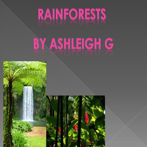 Rainforests | PPTX