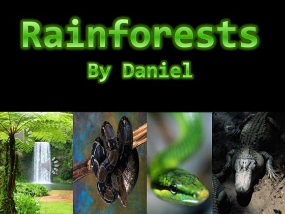 Rainforest | PPT