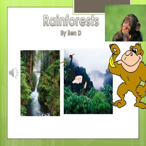 Rainforests | PPTX