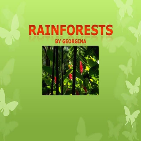 Rainforests | PPT