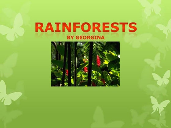 Lesson 14 spelling powerpoint rainforest babies (1) | PPT