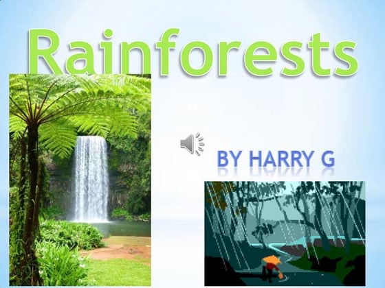 Rainforest | PPT