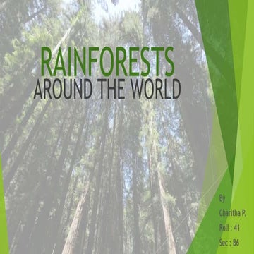 Rainforests | PPT