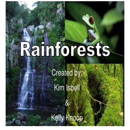 Rainforests | PDF
