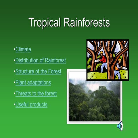 Tropical Rainforest Biome | PPT