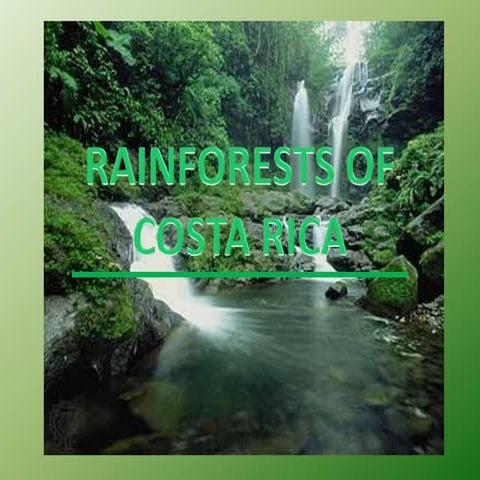 Rainforests of costa rica | PPT
