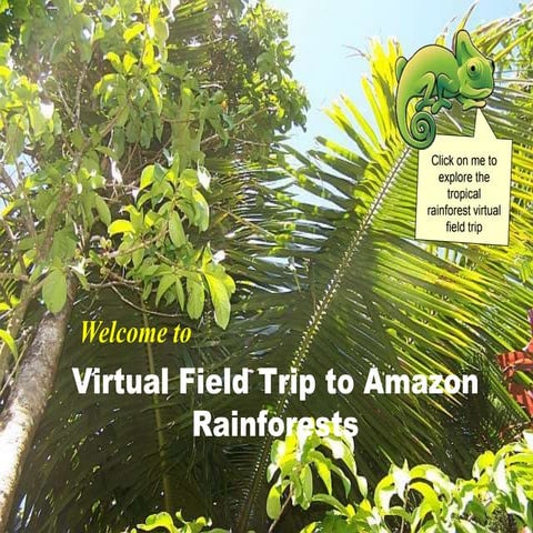 Rainforest virtual field trip | PPT