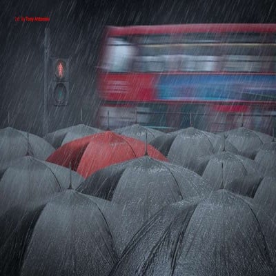 Rain, Photo Contest: Winners and Finalists | PPSX