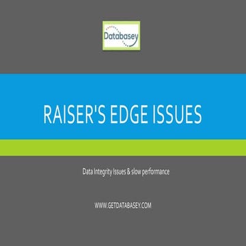 Mastering Raiser's Edge Reports A Comprehensive Guide | PPTX