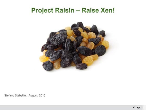 Ppt The Raisin Company | PPTX