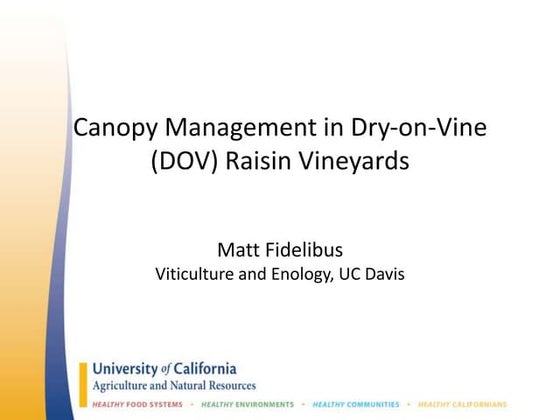 Canopy management young tree canopy management – a broad acre ...
