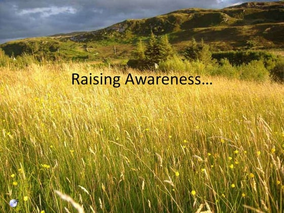 Step by step natalie friesen | PPT