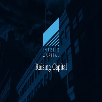Capital Raise Process | PDF