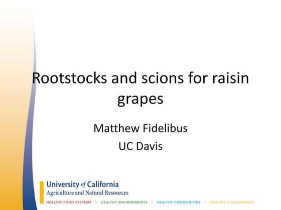 Ppt The Raisin Company | PPT