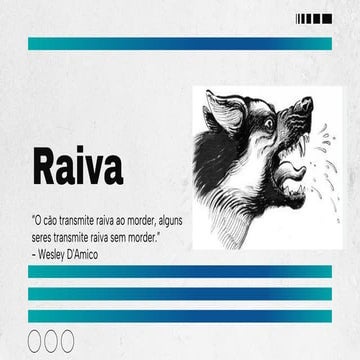 Esquema para profilaxia_raiva_humana_29_03 | PDF