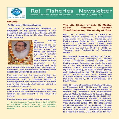 Understanding Universal Values: Core Principles Across Cultures and ...