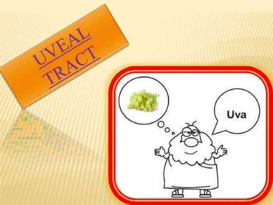 Structure of Nail | PPT