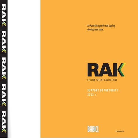 BABICI.RAK Development Team | PDF